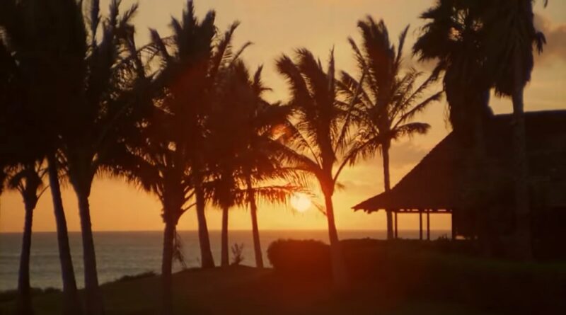 Piège mortel à Hawaï - Andy Sidaris - Tortillapolis